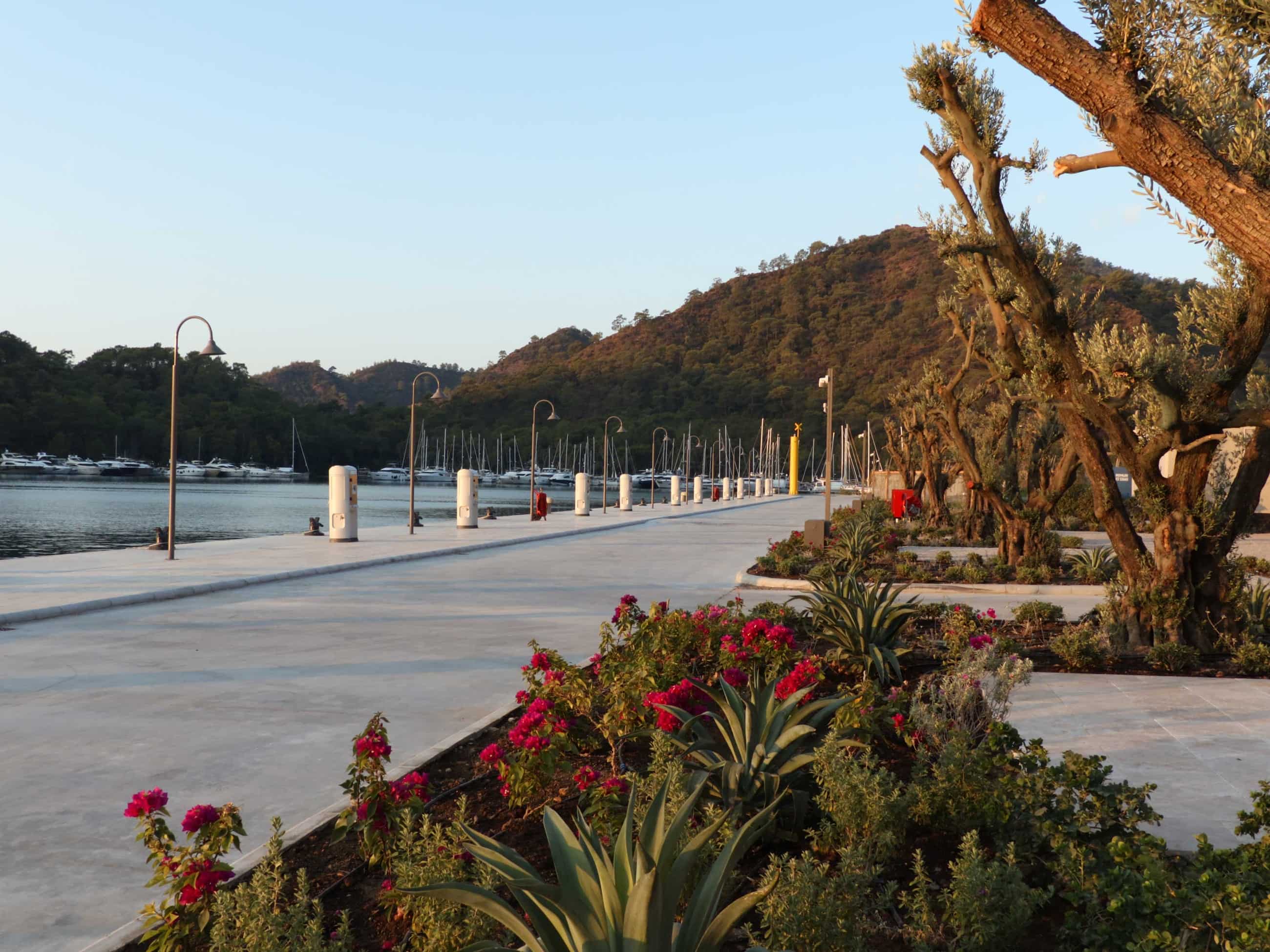 Welcome to Port Azure...